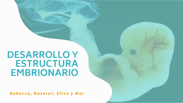 EMBRIOLOGÍA | Genially