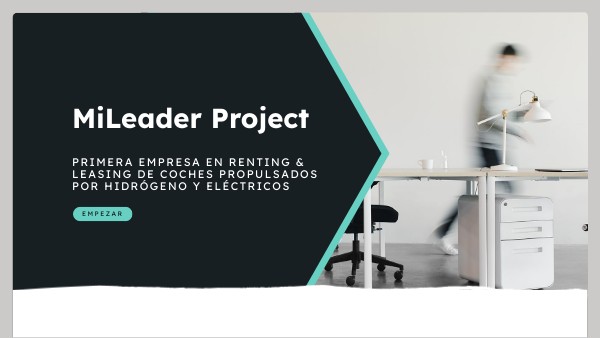 MILEADER PROJECT
