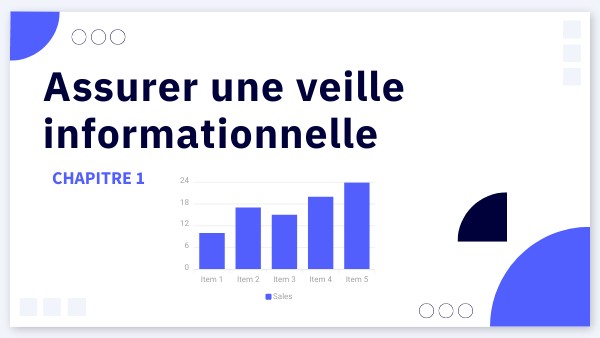 LA VEILLE INFORMATIONNELLE