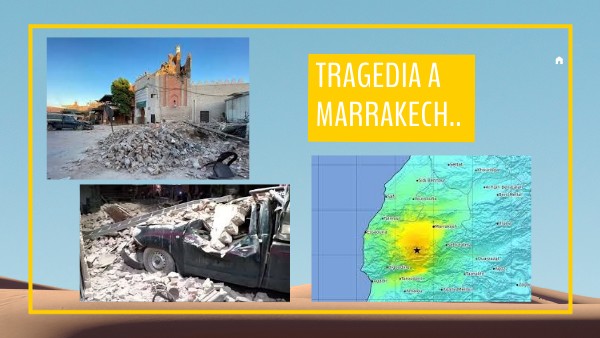 ANIMALS PRESENTATION