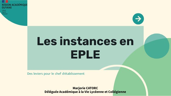 Les instances en EPLE