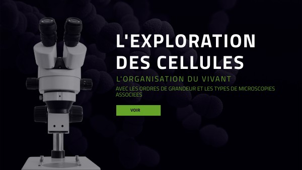 MICROPARTICLES PRESENTATION | Genially