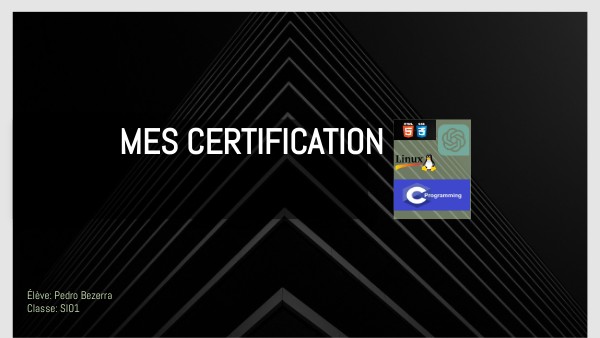 Mes Certification
