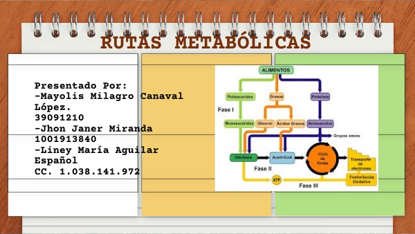 -LAS RUTAS METABOLICAS- | Genially