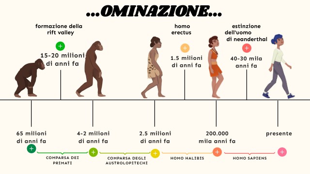 STAGES OF HUMAN EVOLUTION | Genially