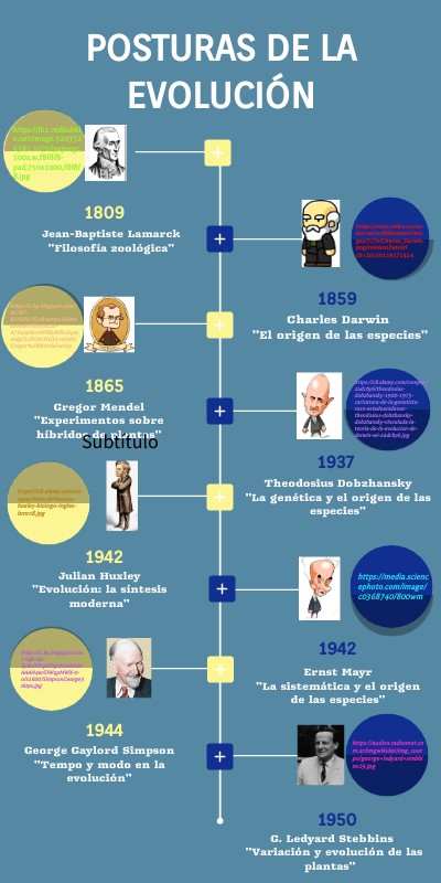 POSTURAS DE LA EVOLUCIÓN | Genially