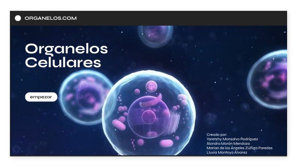 Organelos Celulares | Genially
