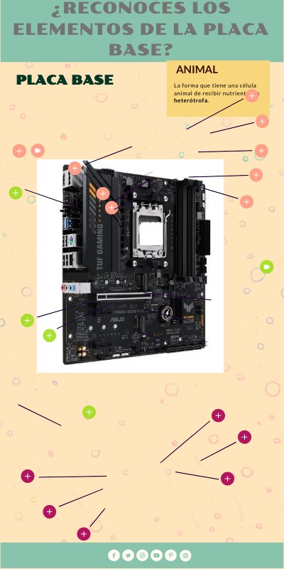 Profundizamos sobre la placa base:infografía vertical