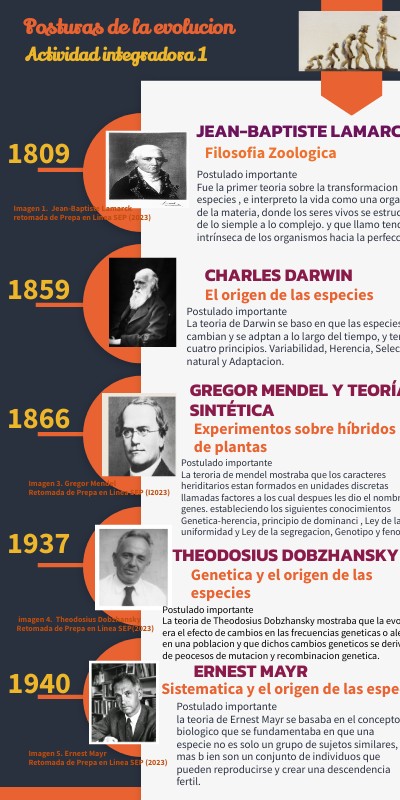 Posturas de la evolucion | Genially