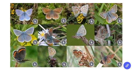 SQUARE INTERACTIVE IMAGE | Genially