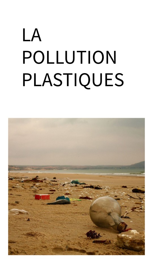 Basic Presentation Mobile Genially