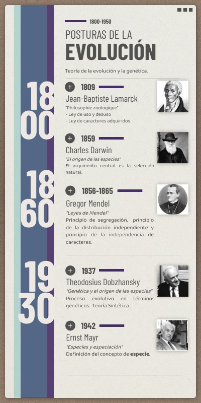 AI1. Posturas de la evolución | Genially