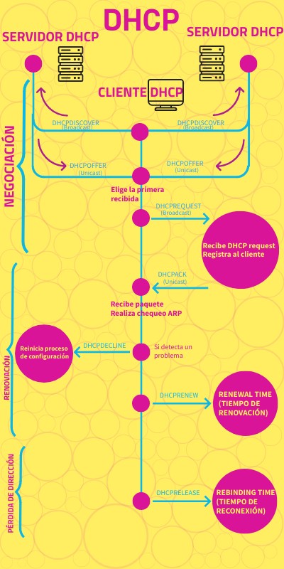INFOGRAFÍA DHCP | Genially