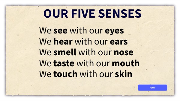 Quiz five senses | Genially