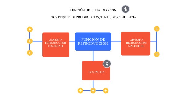 Función de reproducción | Genially