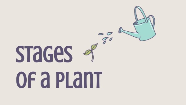 PLANT GROWTH STAGES
