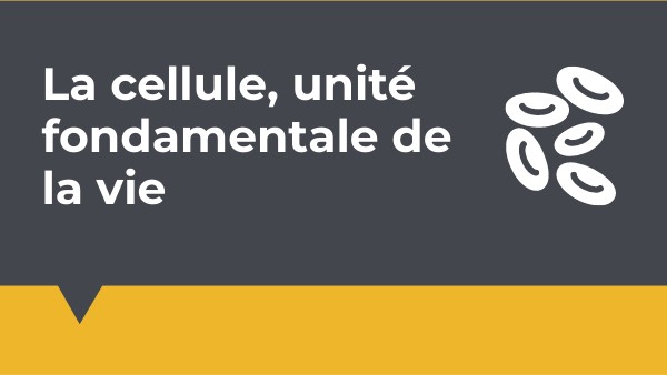 ES genially Marin Matin 1C