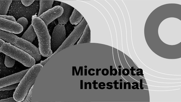 Microbiota Intestinal