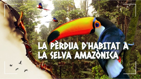 Amazon Rainforest | Genially
