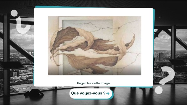 Les perceptions | Genially