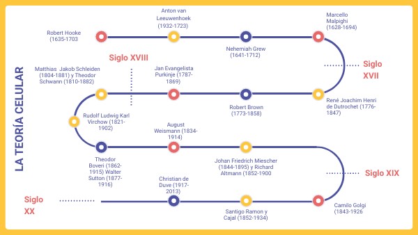 Linea del tiempo de la teoría celular | Genially