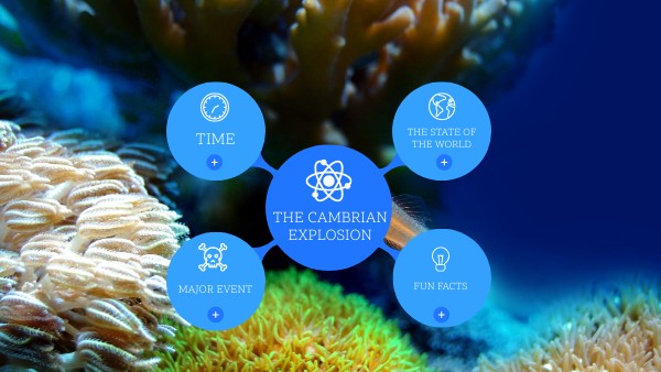 Cambrian Explosion- David Beaubien