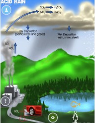Acid rain interactive imagen. | Genially