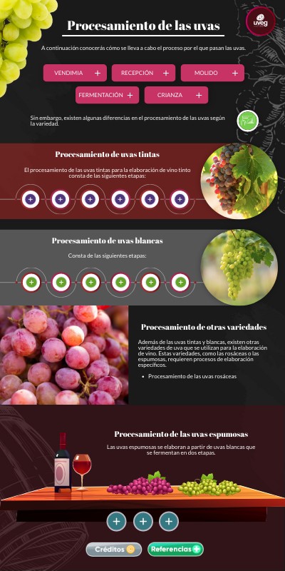 DE_L4_infografia | Genially