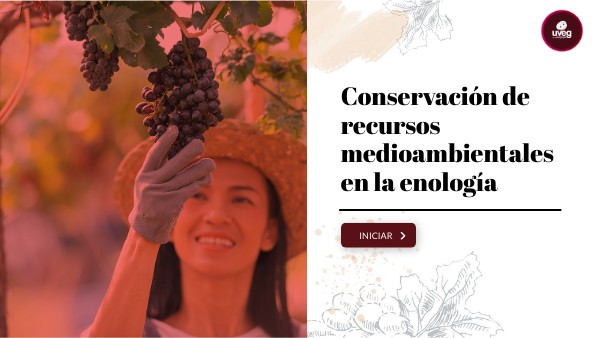 DE_L6_presentacion | Genially