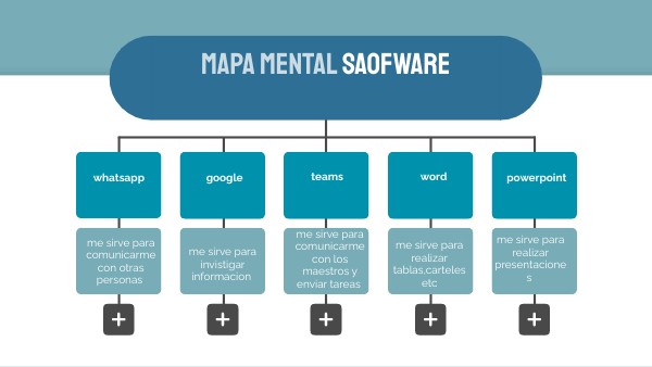 MAPA MENTAL sofware