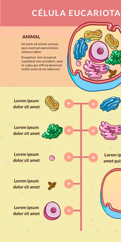 INFO VERTICAL CÉLULAS