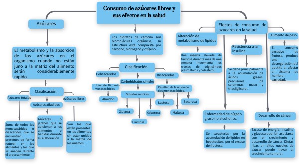 MAPA CONCEPTUAL UNIVERSIDAD