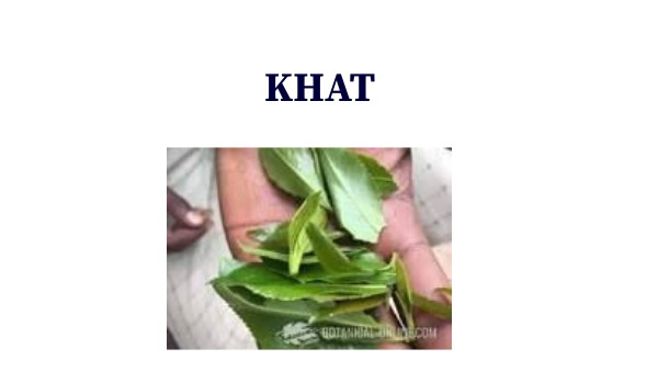 KHAT