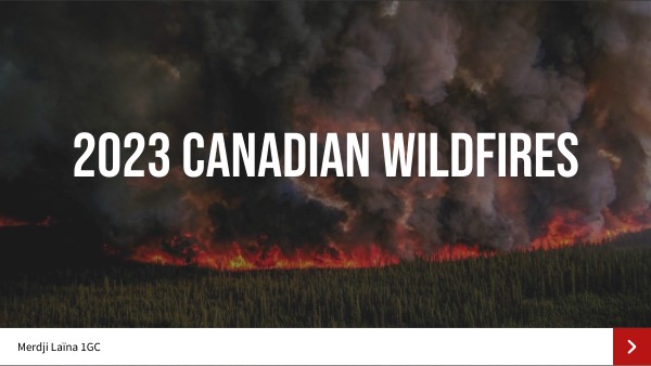2023 CANADIAN WILDFIRES
