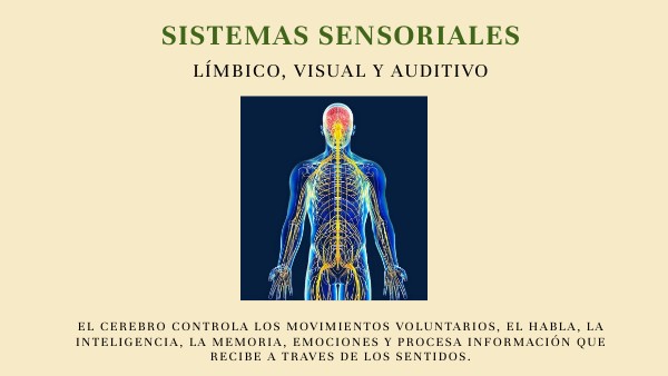 Sistemas sensoriales