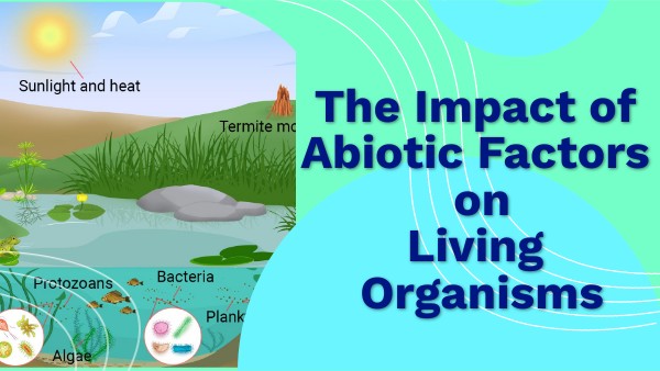 The impact of abiotic factors on living organisms