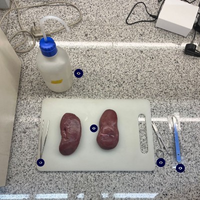 IMAGEN INTERACTIVA Ronyó