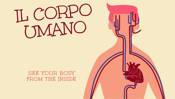 HUMAN BODY PRESENTATION