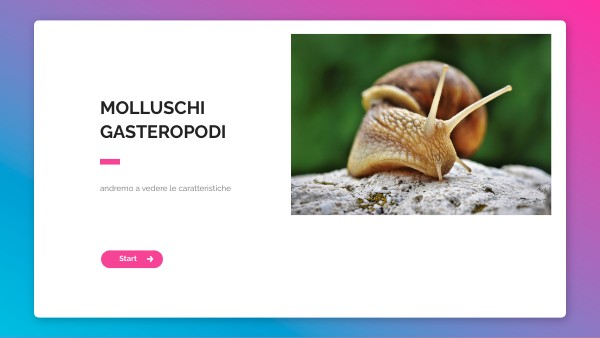 gasteropodi | Genially