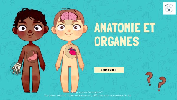 M2 - JEU - Anatomie et organes | Genially