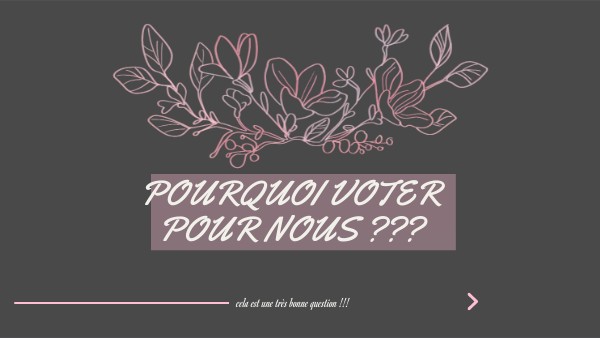 Pourquoi il faut voter pour nous