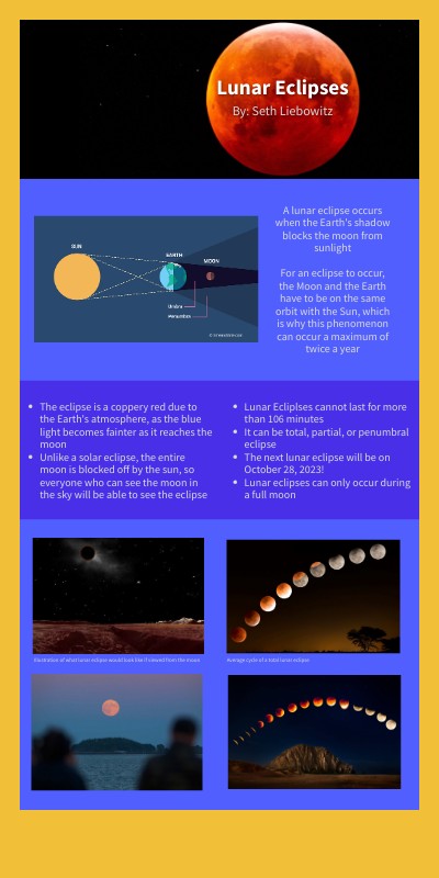 BASIC INFOGRAPHIC | Genially