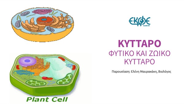 Interactive cell poster | Genially