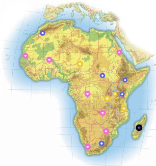 AFRICA