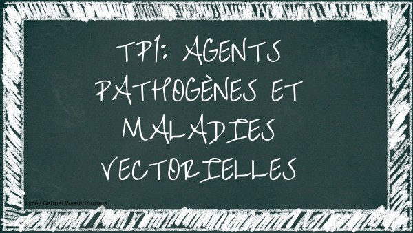 TP1 agents pathogènes et maladies vectorielles