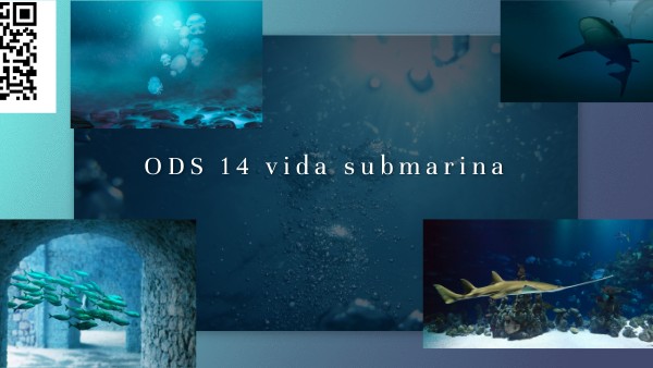 ODS 14