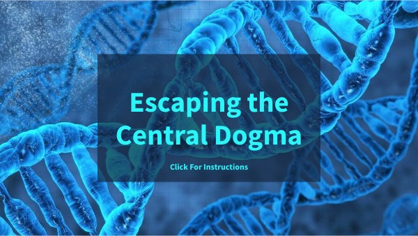 Central Dogma Review
