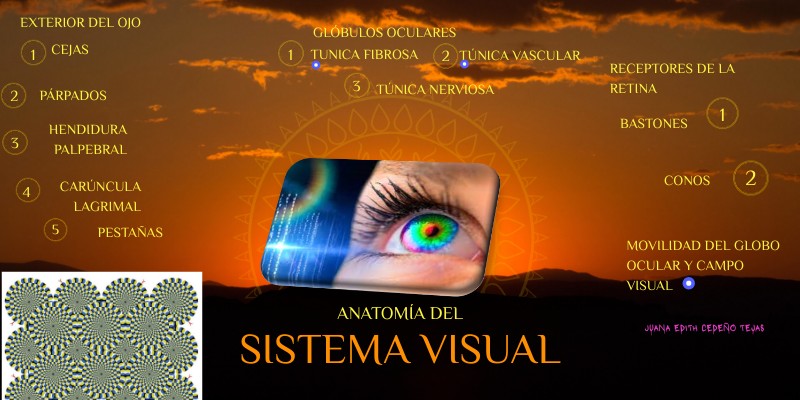 SISTEMA VISUAL Y AUDITIVO
