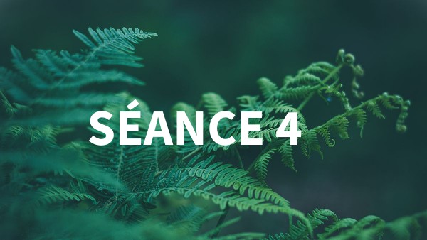 Séance 4 | Genially