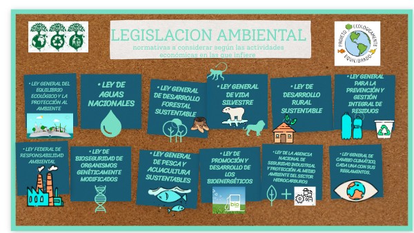 infografia legislacion ambiental | Genially